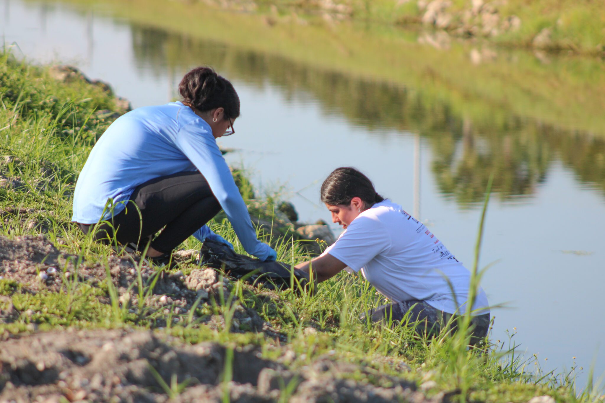 Volunteer Projects | Keep Collier Beautiful, Inc. | FL