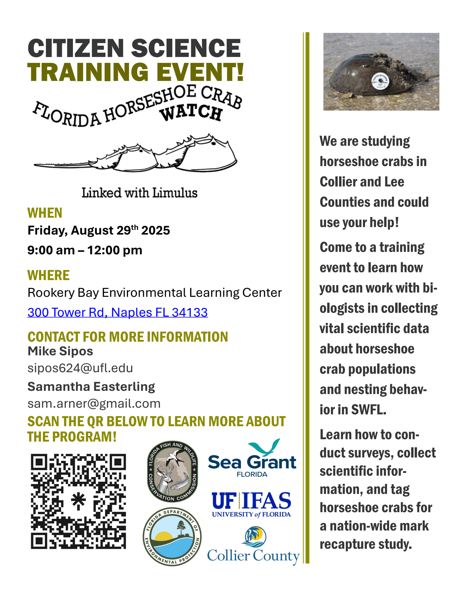 Join the Florida Horseshoe Crab Watch Workshop! | Keep Collier Beautiful