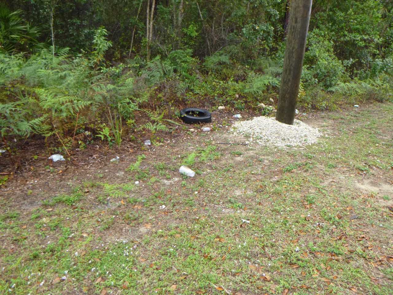 Keep Collier Beautiful is Seeking Volunteers for the 2026 Collier ...